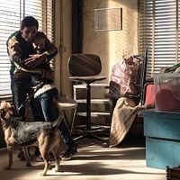 Affiche du film Dogman - Photo 11 sur 11 - AlloCiné