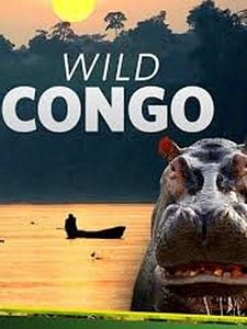 Destination Wild : Congo: Guide des saisons - AlloCiné