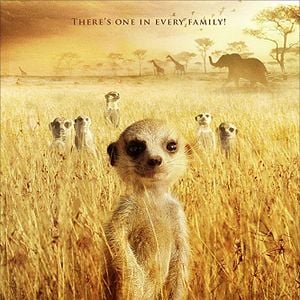 La Famille Suricate - Film 2008 - AlloCiné