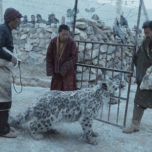 Le Léopard des neiges - Film 2023 - AlloCiné