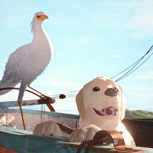 Flow, le chat qui n’avait plus peur de l’eau - Film 2024 - AlloCiné