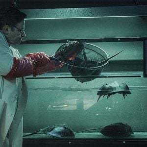 Black Daisies Saison 1 - AlloCiné