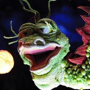 Hugo et le dragon - Film 2002 - AlloCiné