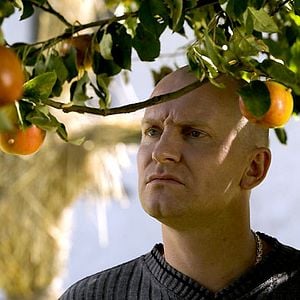 Adam's apples - film 2005 - AlloCiné