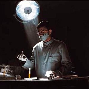 Rose Bosch - AlloCiné