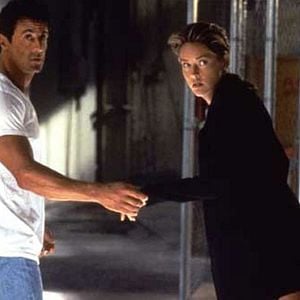 L'Expert - Film 1994 - AlloCiné