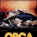 Orca - Film 1977 - AlloCiné