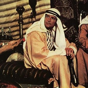 Dawn Rodrigues - AlloCiné