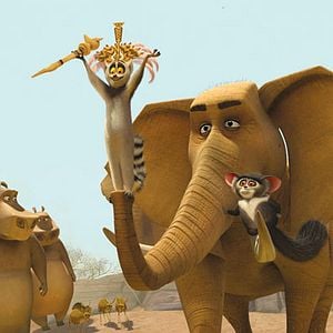 Madagascar 2 - Film 2008 - AlloCiné
