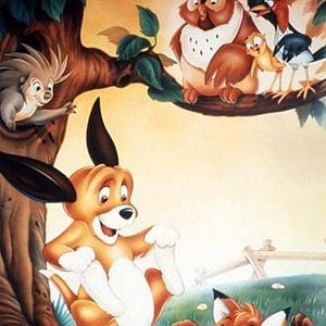 Rox et Rouky - Film 1981 - AlloCiné