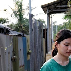 The Tiger Factory - Film 2010 - AlloCiné