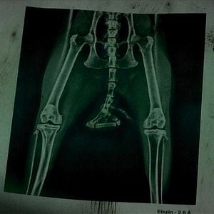 Thale - film 2012 - AlloCiné