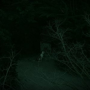 Atrocious - film 2010 - AlloCiné