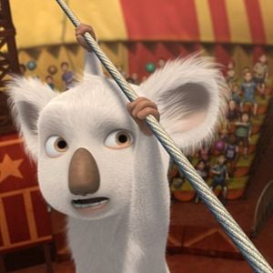 Koala Kid - Film 2012 - AlloCiné