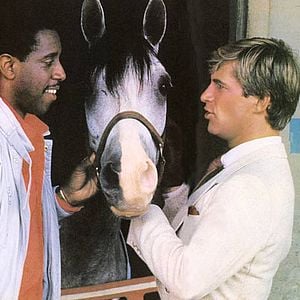 Manimal - Série TV 1983 - AlloCiné