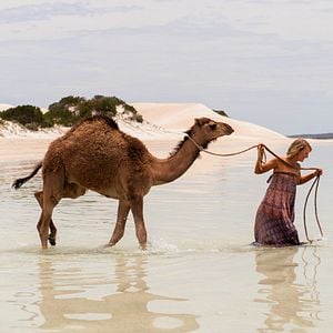 Tracks - Film 2013 - AlloCiné