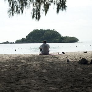 Teddy Bear - Film 2012 - AlloCiné