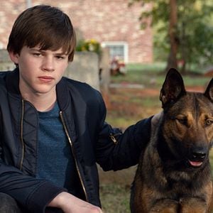 Max - Film 2015 - AlloCiné