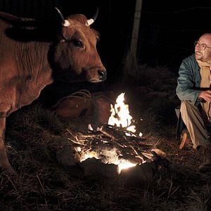 La vache - Film 2016 - AlloCiné