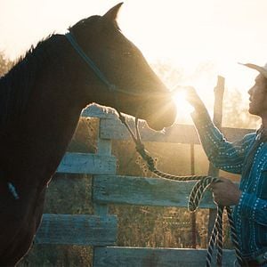 The Rider - Film 2017 - AlloCiné