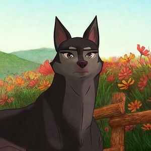 Nous, les chiens - Film 2019 - AlloCiné