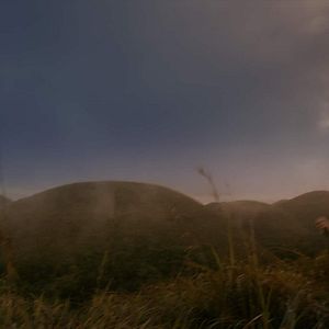 The Human Surge - Film 2016 - AlloCiné