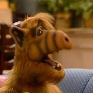ALF Saison 1 - AlloCiné