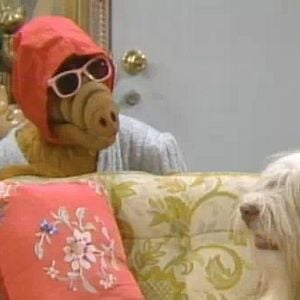 ALF - Série TV 1986 - AlloCiné