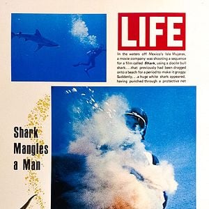 Shark - Film 1969 - AlloCiné