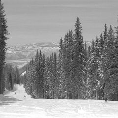 Aspen - Film documentaire 1991 - AlloCiné