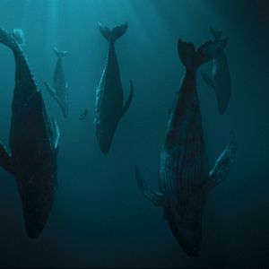 Abysses - Série TV 2023 - AlloCiné