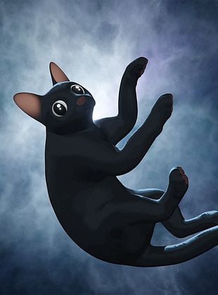 Flow - Film 2024 - AlloCiné