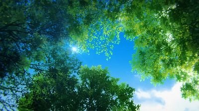 image de la news Noté 4,3 sur 5 : c'est l'un des animes les plus populaires de la décennie et il débarque au cinéma ce week-end !