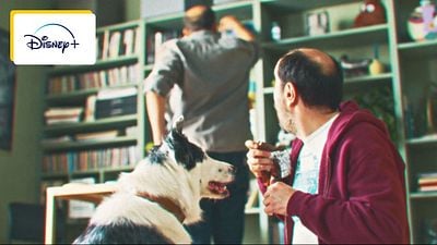 Bref.2 - Série TV 2025 - AlloCiné