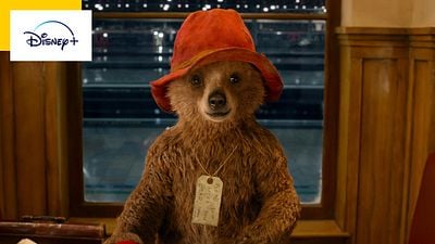 Paddington - film 2014 - AlloCiné