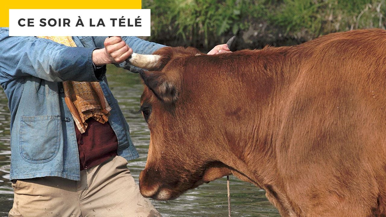 Ce soir à la télé : produite par Jamel Debbouze, cette comédie ...