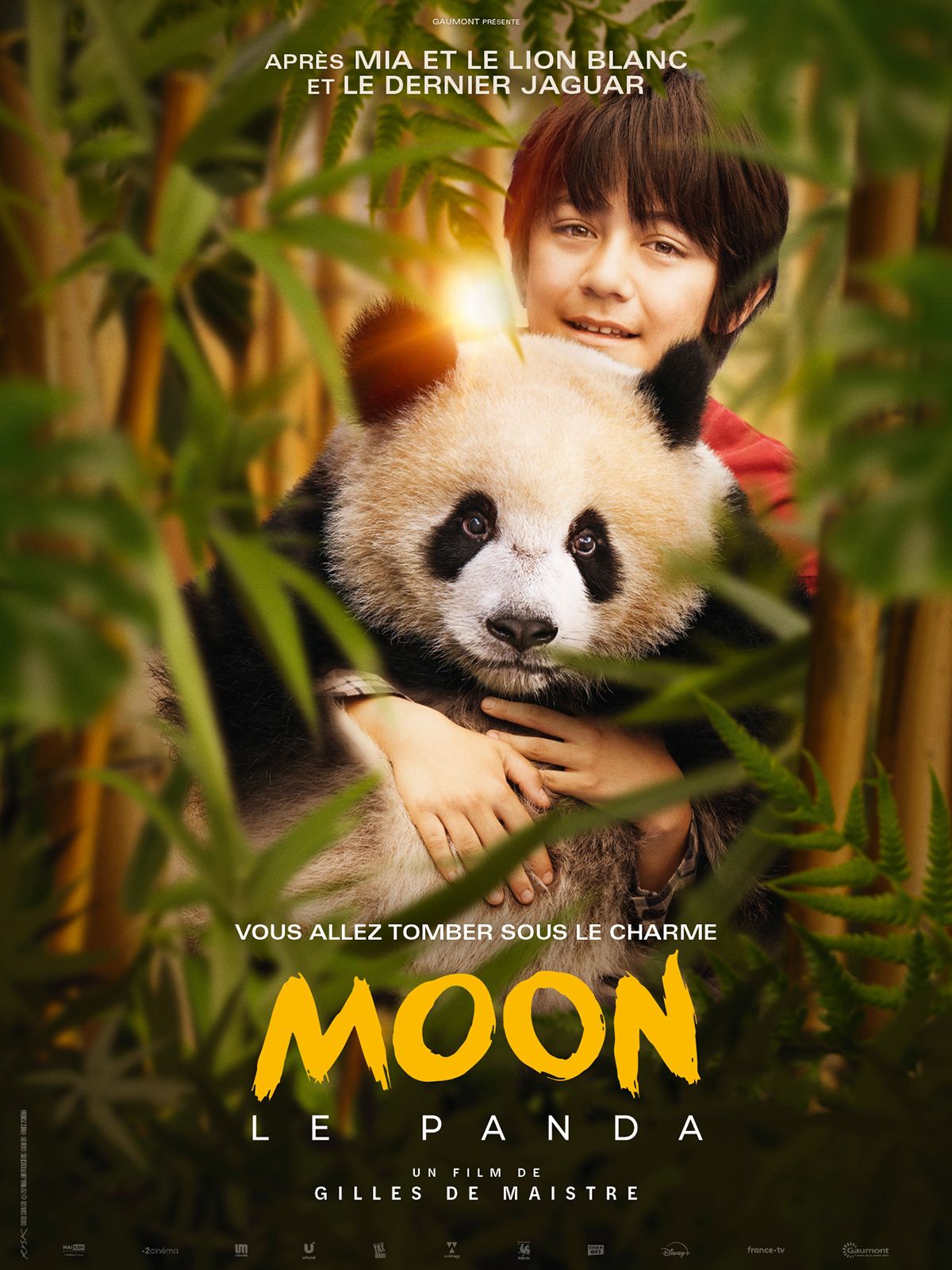 Affiche du film Moon Le Panda - Photo 5 sur 5 - AlloCiné