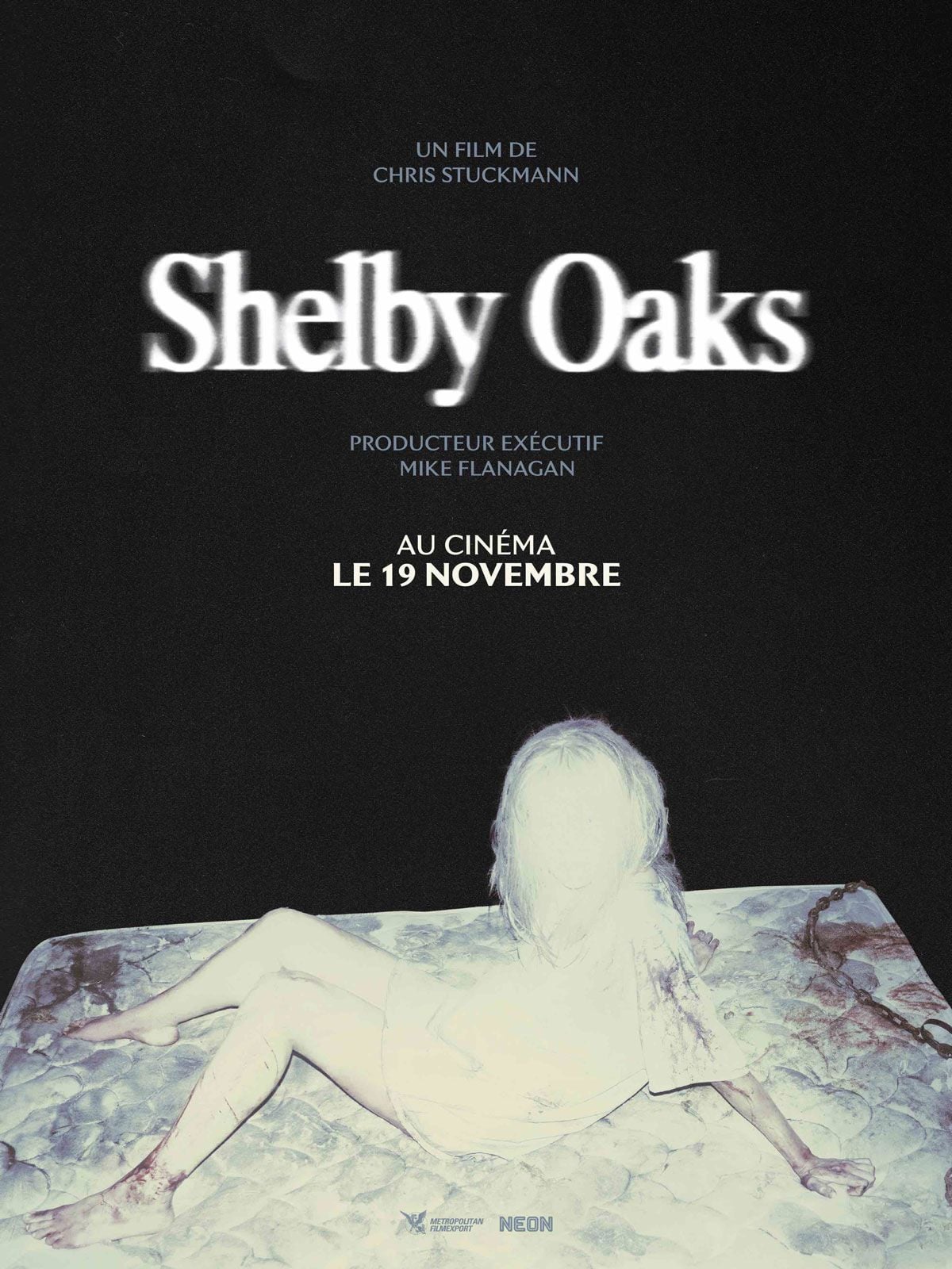Affiche du film Shelby Oaks - Photo 16 sur 17 - AlloCiné