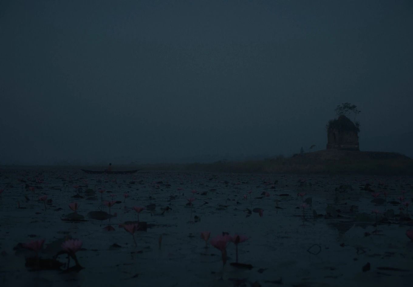 Photo de Ali - Photo 3 sur 5 - AlloCiné