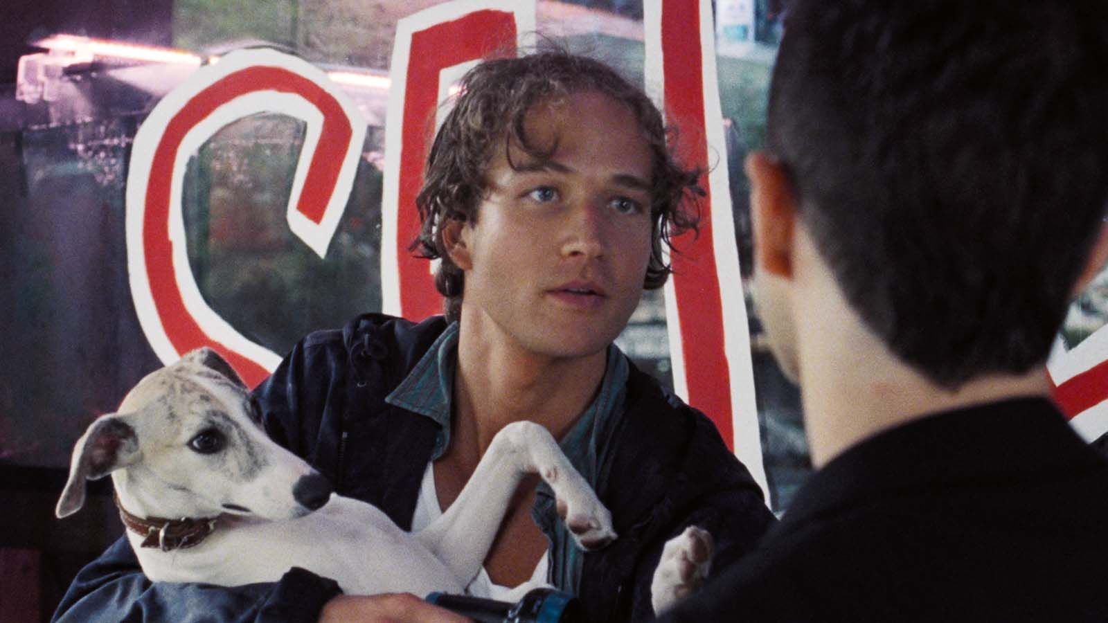 Photo de Jack Irv - Pet Shop Days : Photo Jack Irv - Photo 0 sur 1 ...