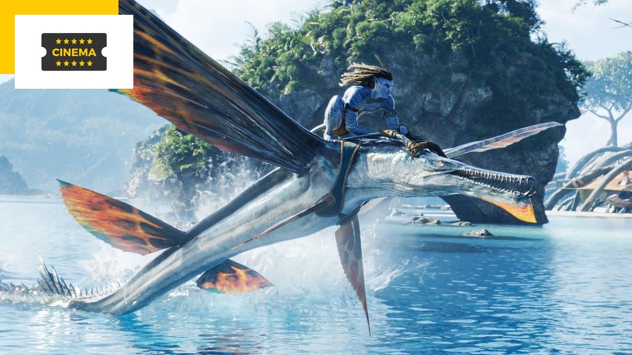Avatar : La Voie de l’Eau : 3 raisons de se plonger dans l'expérience ...