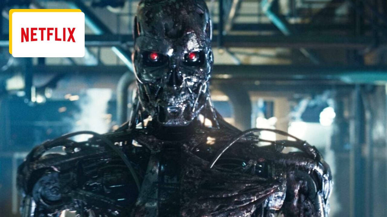 Terminator sur Netflix : quel acteur remplacera Schwarzenegger ? Indice ...