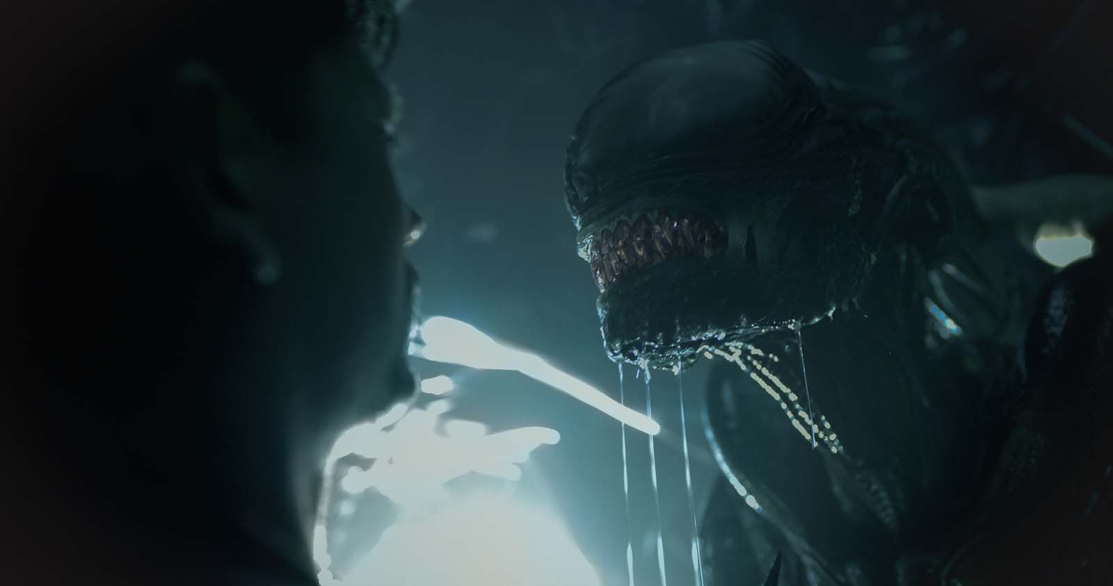 Photo du film Alien: Romulus - Photo 9 sur 16 - AlloCiné
