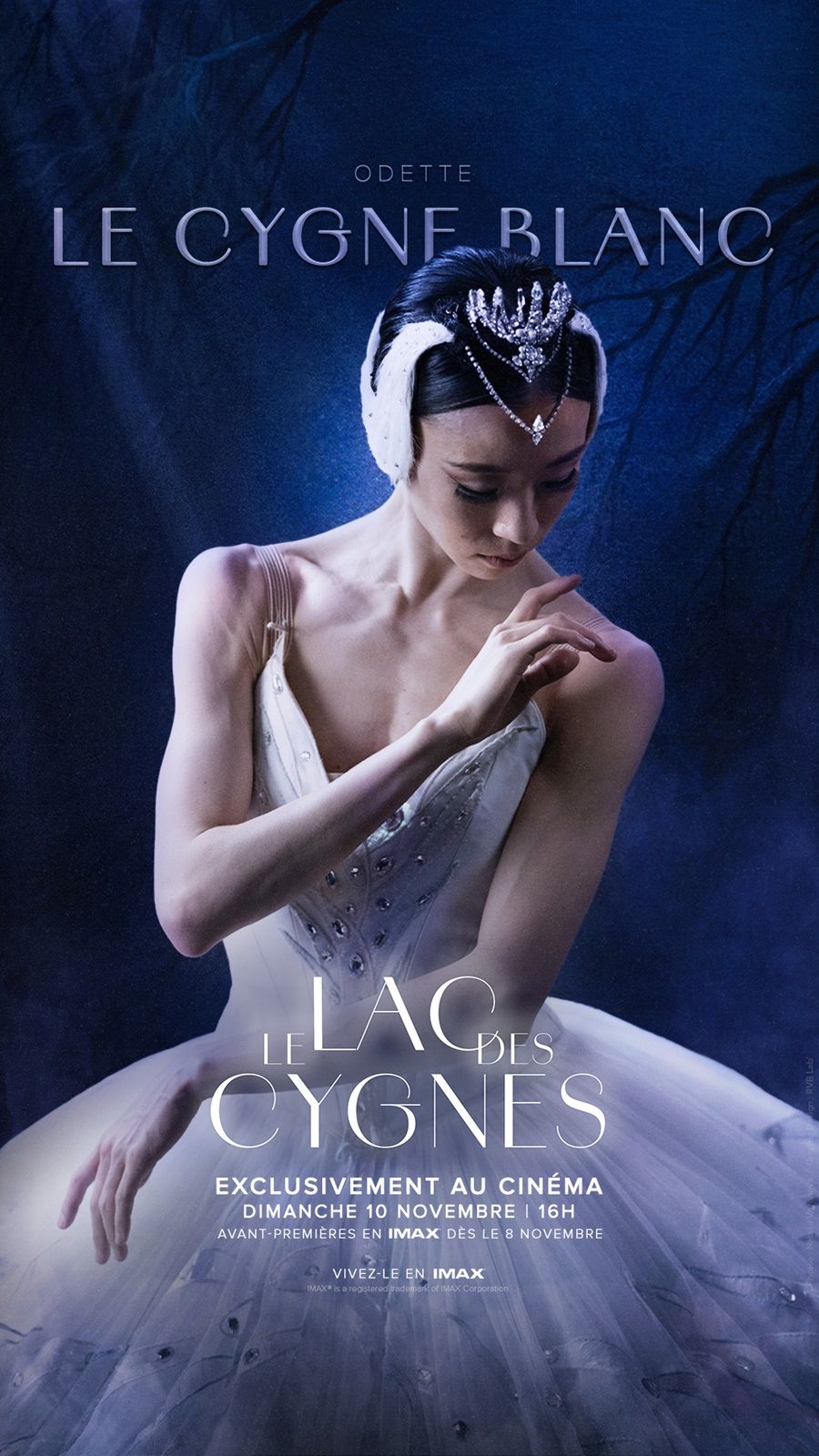 Photo de Le lac des cygnes - Photo 3 sur 17 - AlloCiné