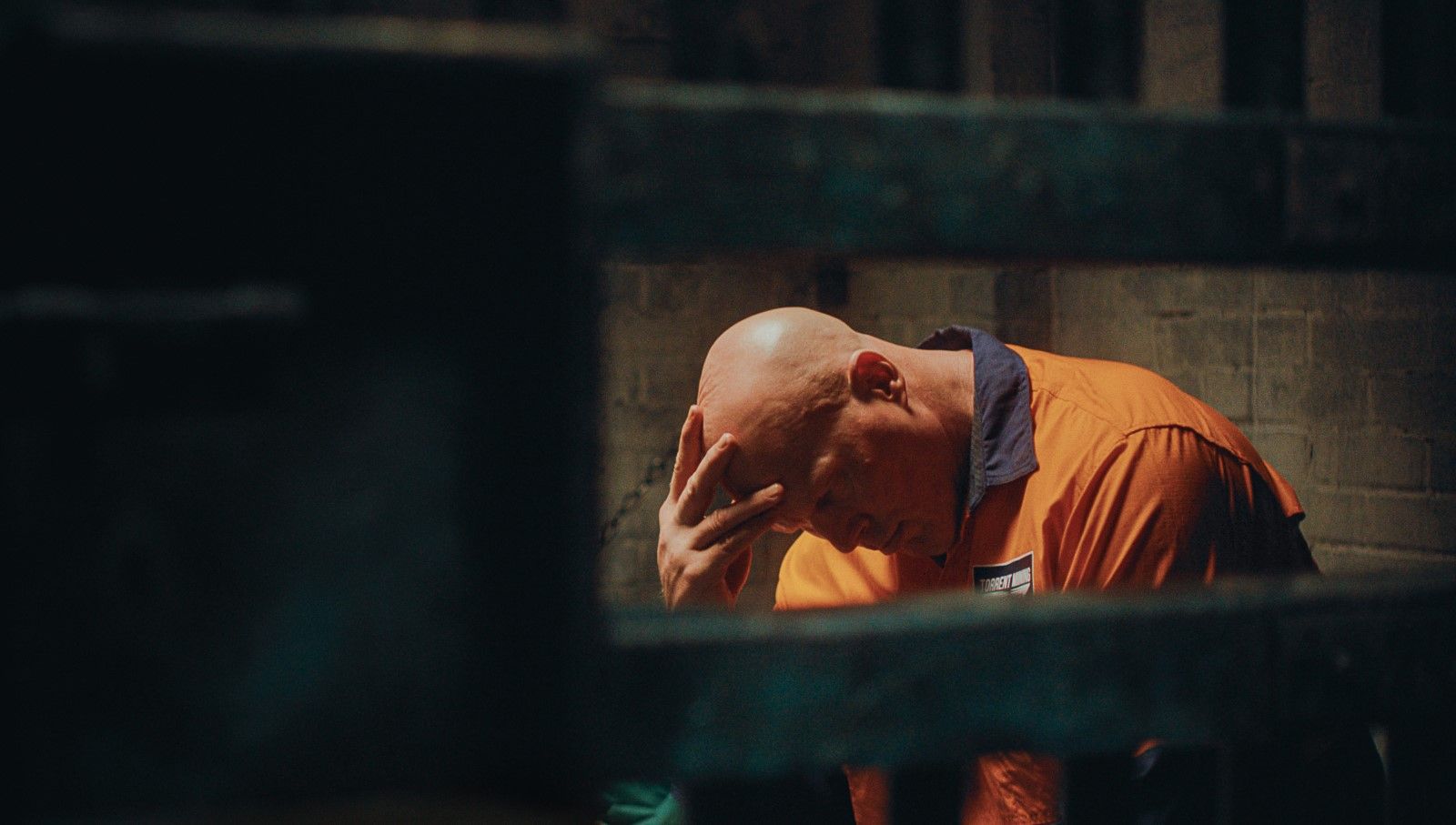 Photo du film Rippy - Photo 1 sur 7 - AlloCiné