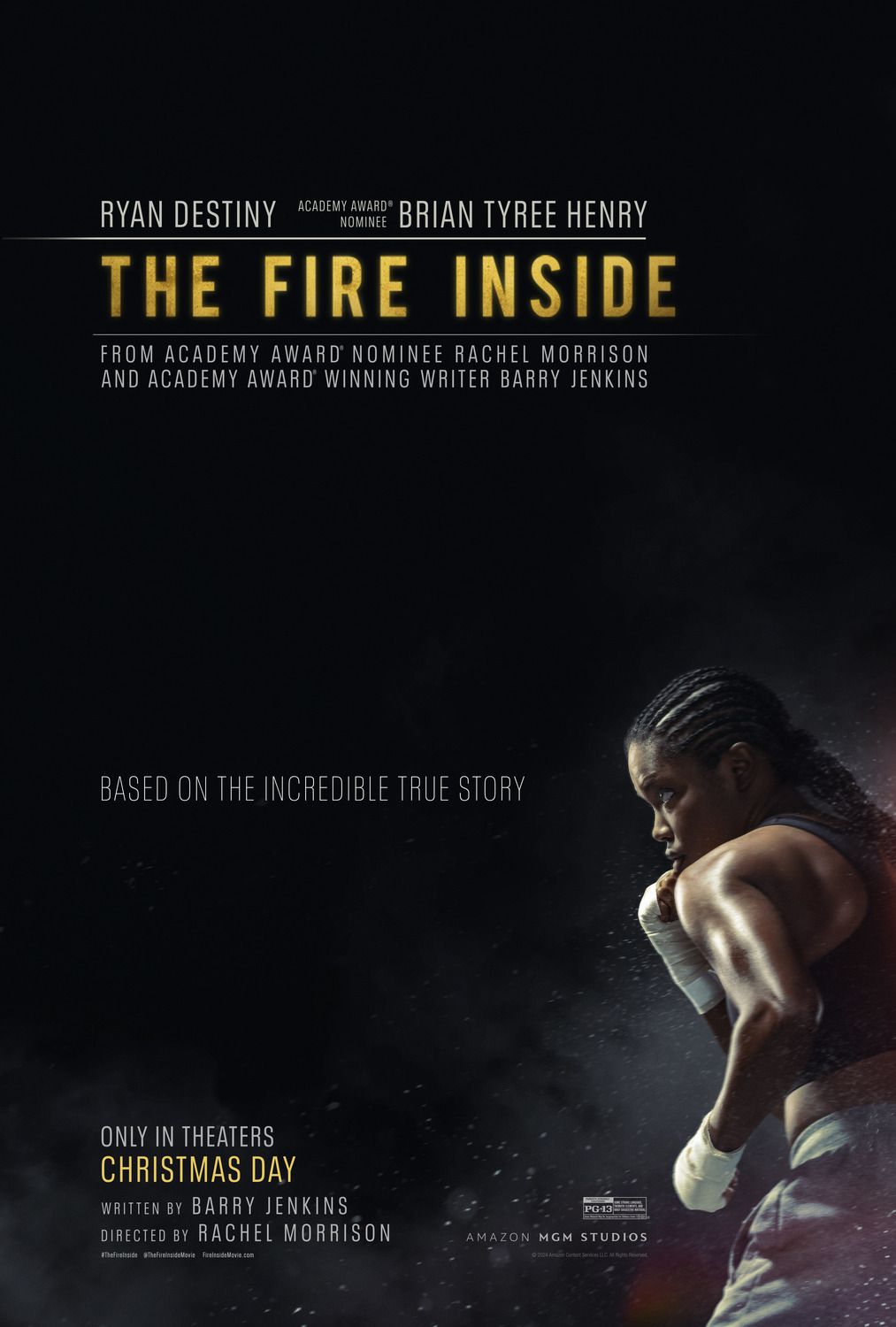 Box Office du film The Fire Inside - AlloCiné
