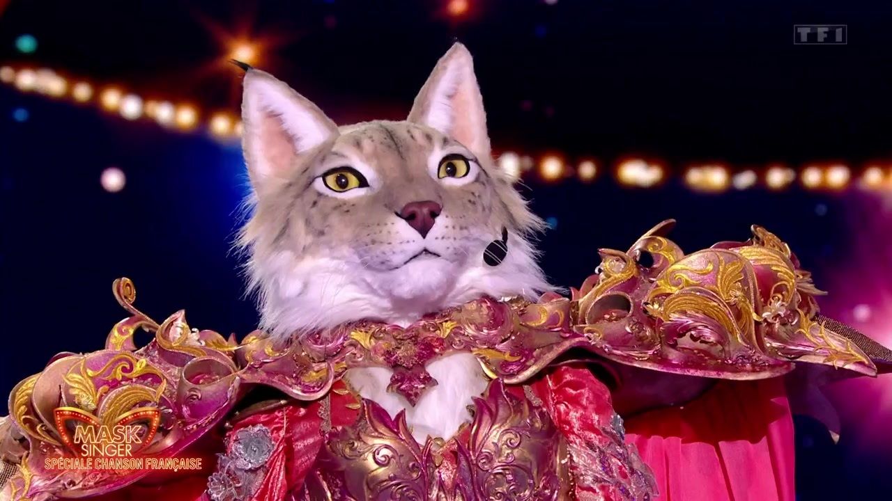Mask Singer : qui se cachait derrière le costume du Lynx éliminé ce ...