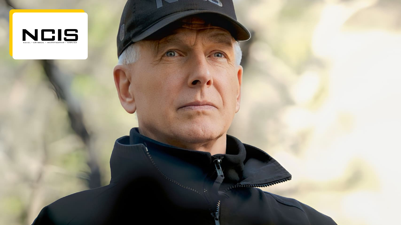 NCIS : "C'est beaucoup de pression"... Mark Harmon donne son avis sur ...