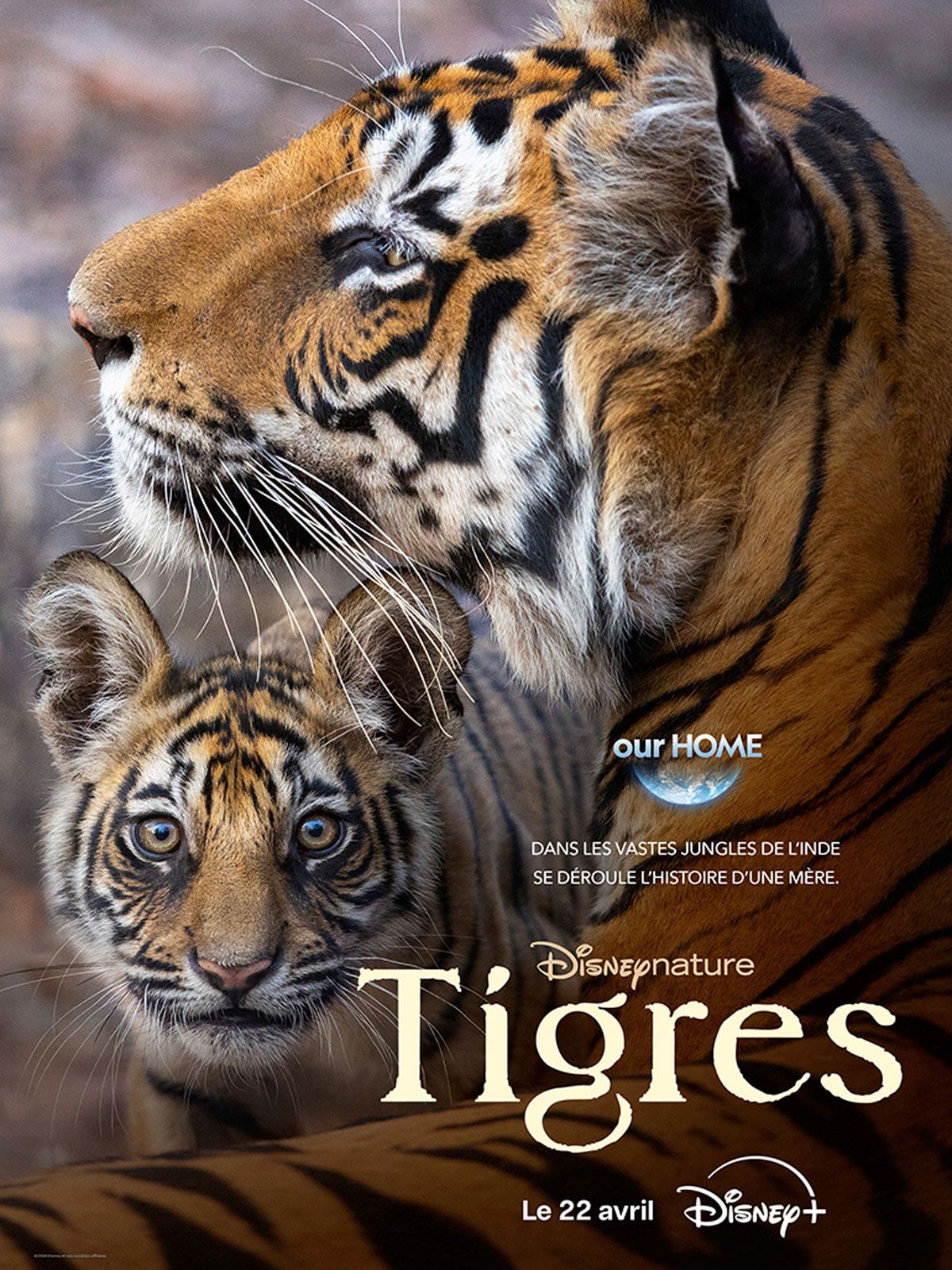 Tigres - Film documentaire 2024 - AlloCiné