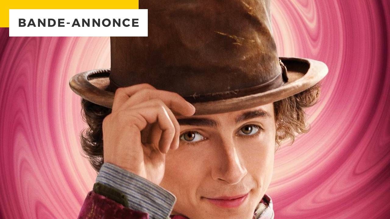 Timothée Chalamet magicien + Hugh Grant lilliputien : est-ce le film le ...